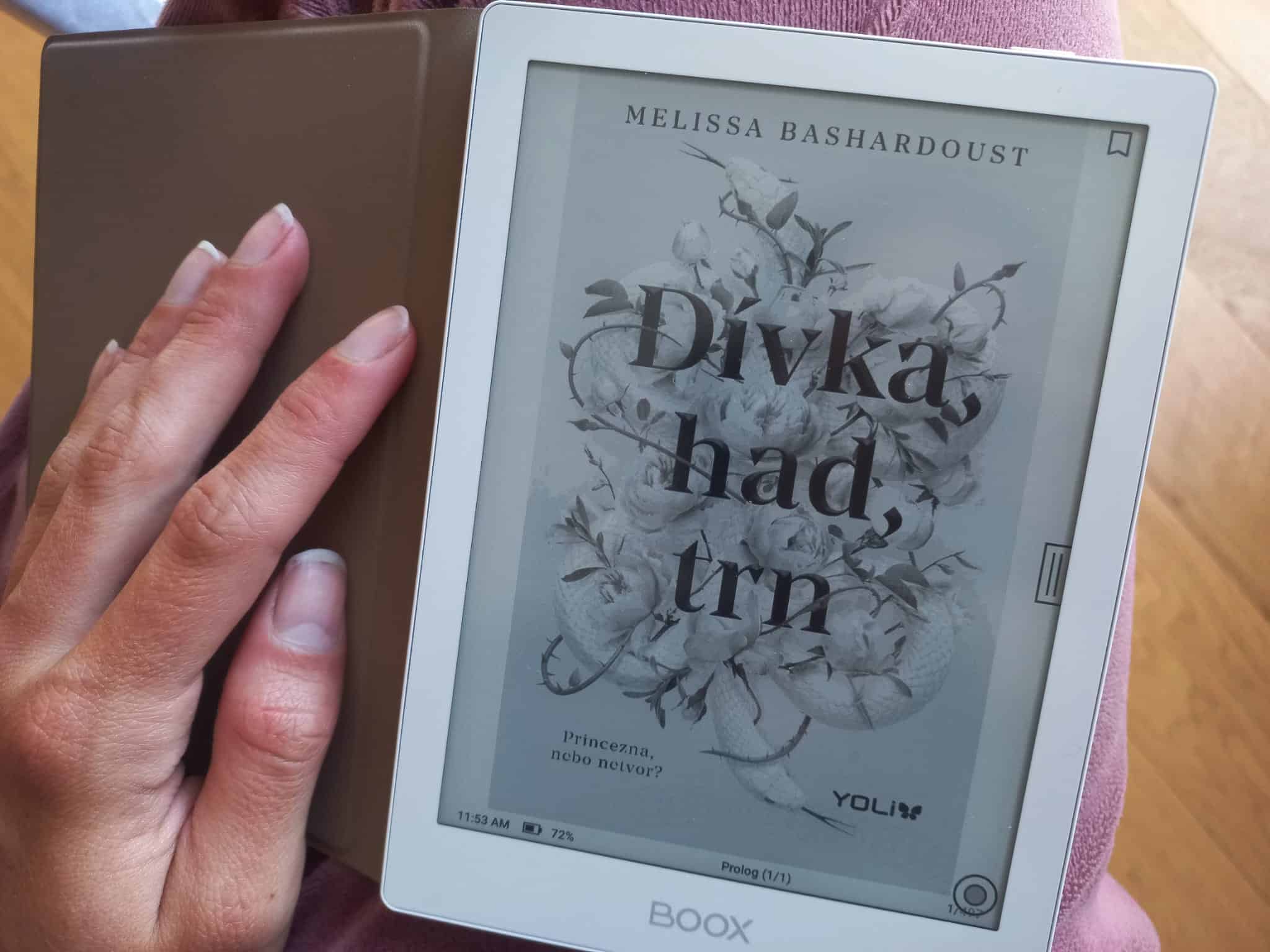 Recenze: 📖 elektronická čtečka knih Onyx Boox Go 6 🔎